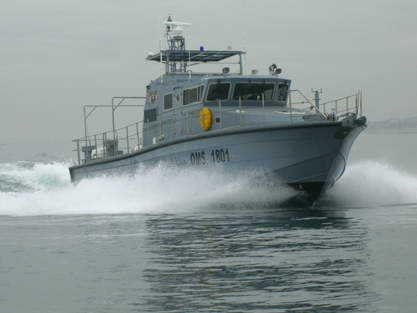 Rodman Polyships - Naval Technology