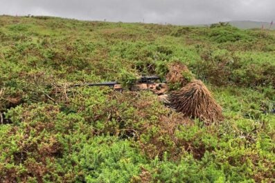 British Royal Marines conduct annual sniper training