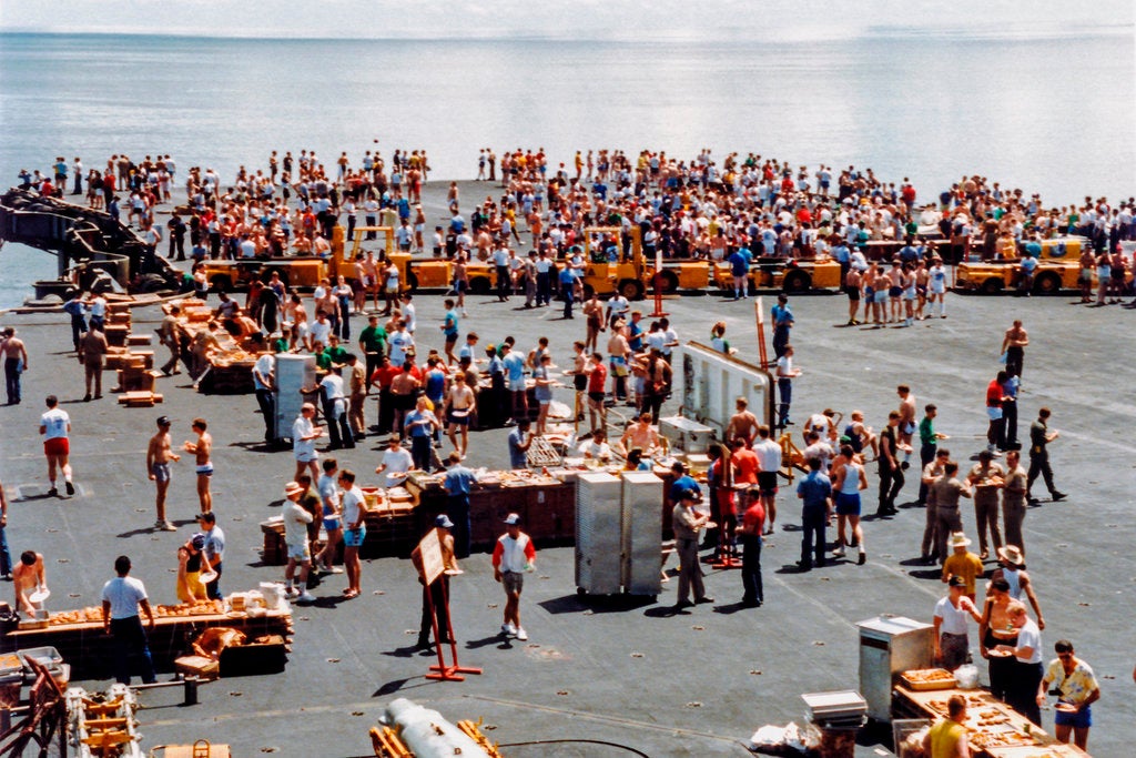 Beyond Top Gun: Dave ‘Bio’ Baranek on his career as an F-14 RIO - Naval ...