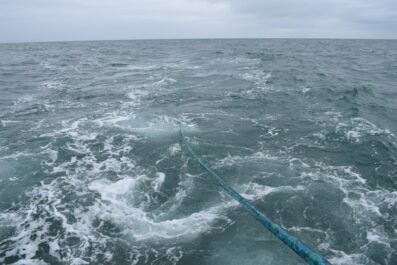 SEA completes trials of ASW thin line towed array ‘KraitArray’