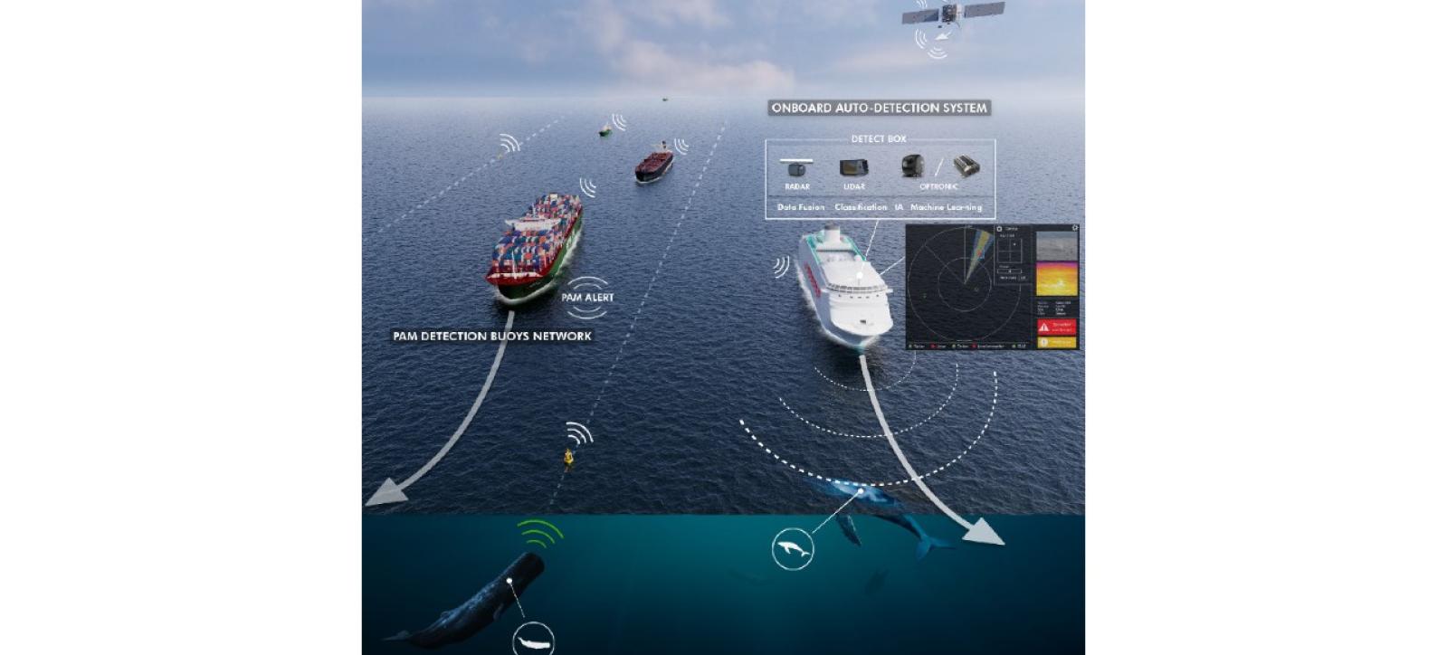 Naval Group Recognized for Innovation, Product Launches, and Environmental Initiatives